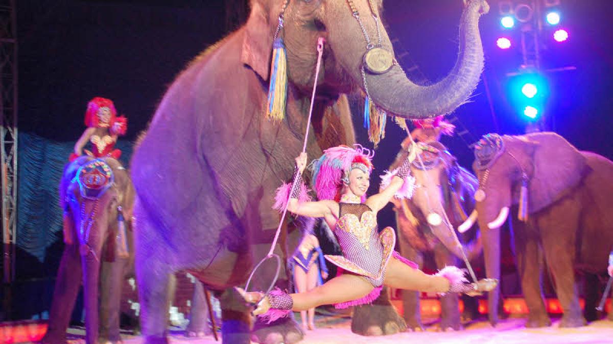 Große Premiere, kleiner Protest