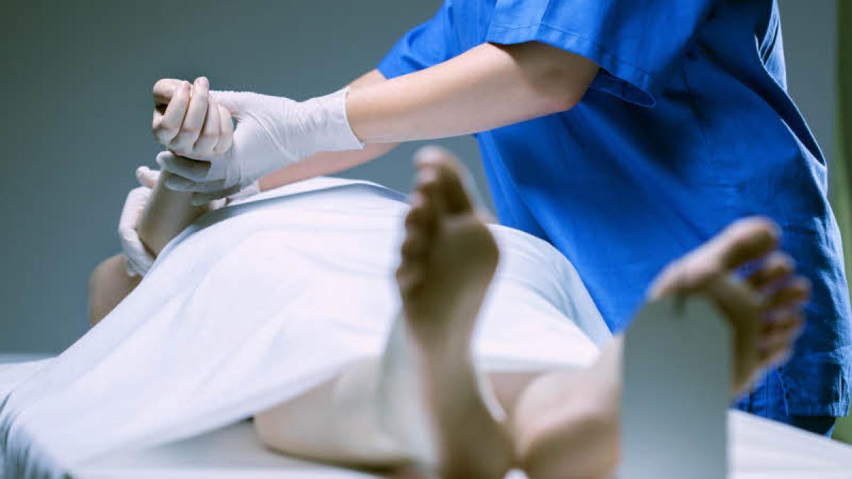 Leichenschau: Auf den Inseln muss es nicht einmal ein Arzt tun | SHZ