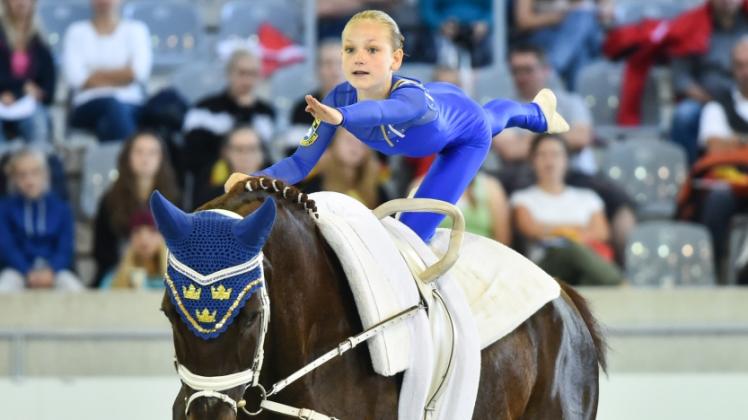 Profis turnen auf dem Pferderücken | SHZ