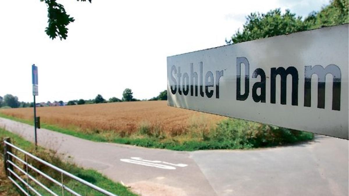 Neubaugebiet: Warten auf Gutachten | SHZ Neubaugebiet: Warten auf Gutachten | SHZ