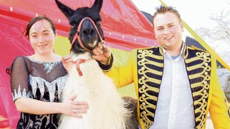 Clowns, Tiere und Akrobaten