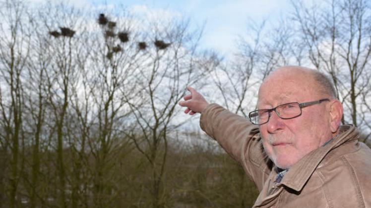 Krähen rauben Anliegern den Schlaf