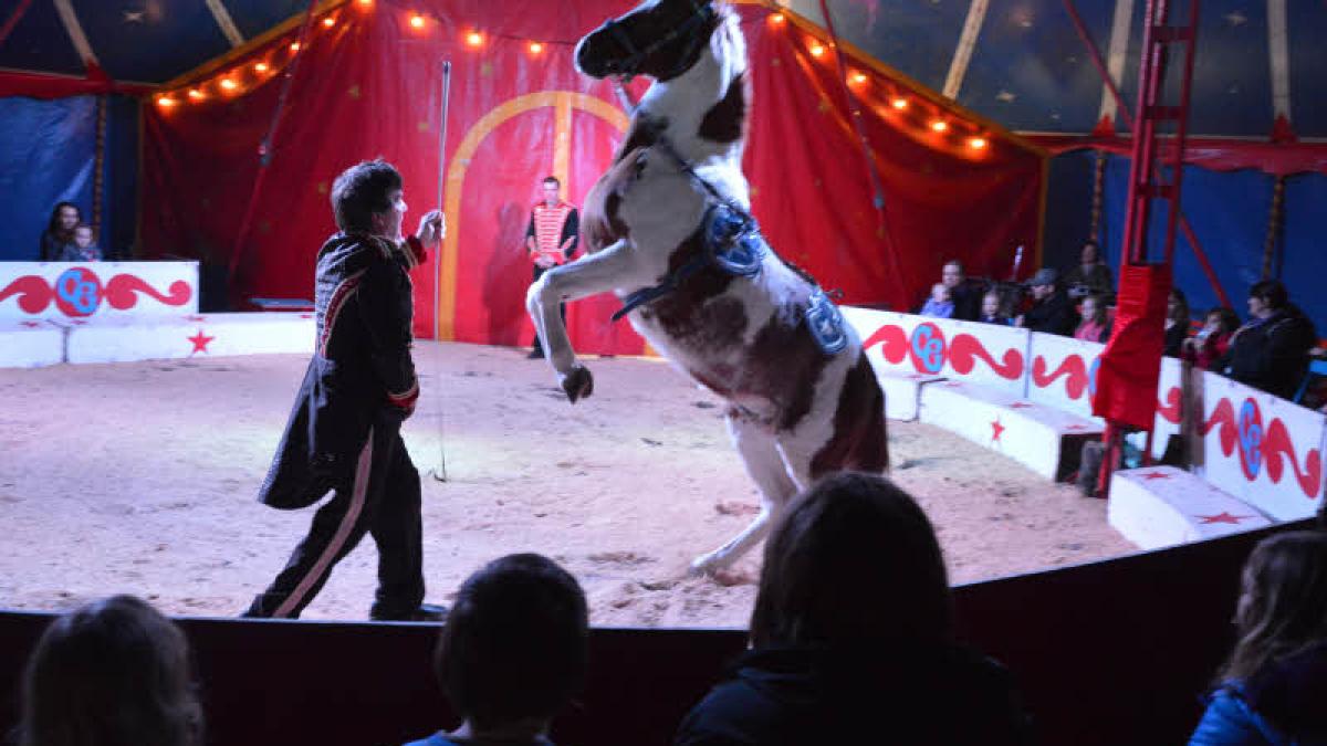 Der Zirkus ist in der Stadt