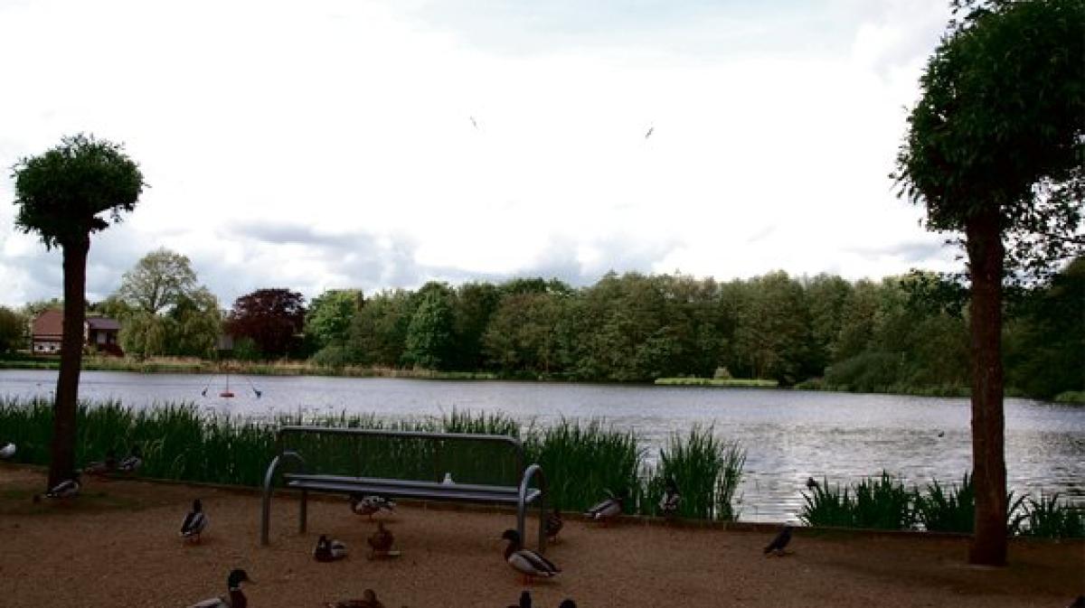 Ein Café auf dem Mühlenteich?