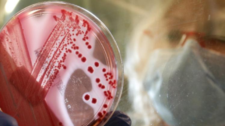 Blut-Durchfall: Erste Todesopfer im Norden