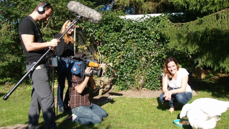 Zwei Gänse kommen groß raus | SHZ