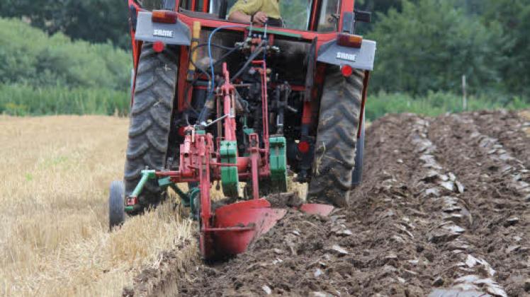 Mit dem Pflug zur Meisterschaft | SHZ