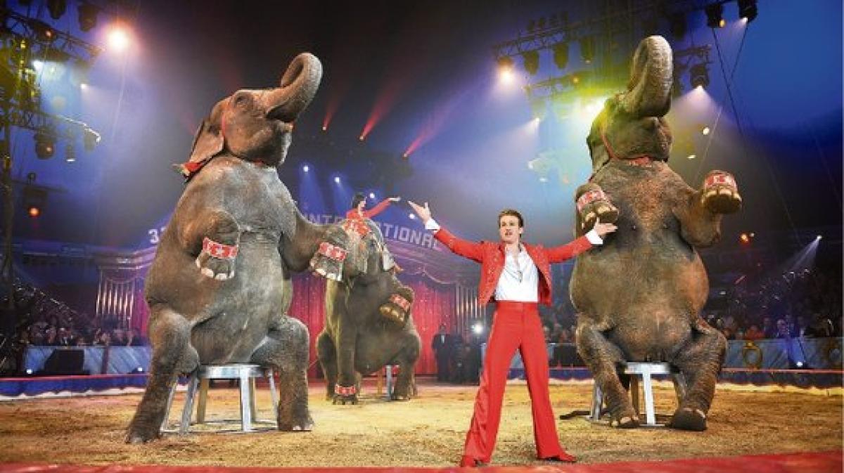 Groß-Zirkus erstmals in Itzehoe