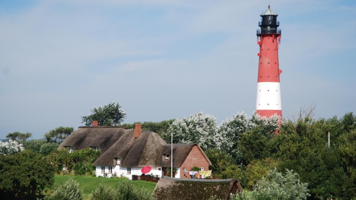 Einmal Pellworm, immer Pellworm – oder nie wieder