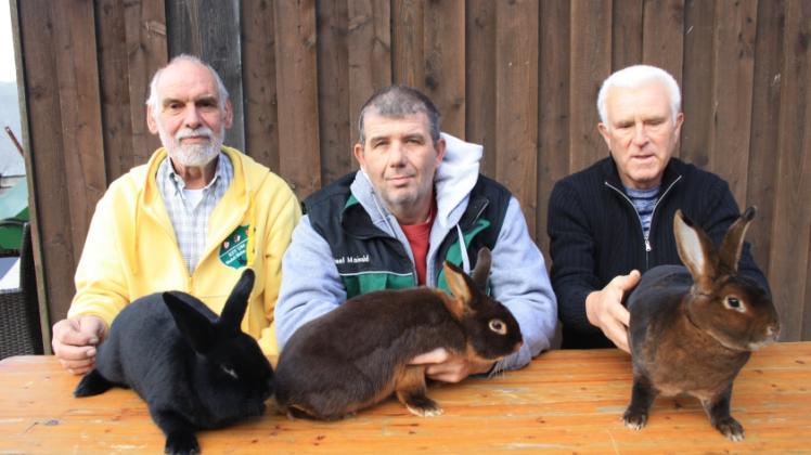 Die Kür der schönsten Stallhasen