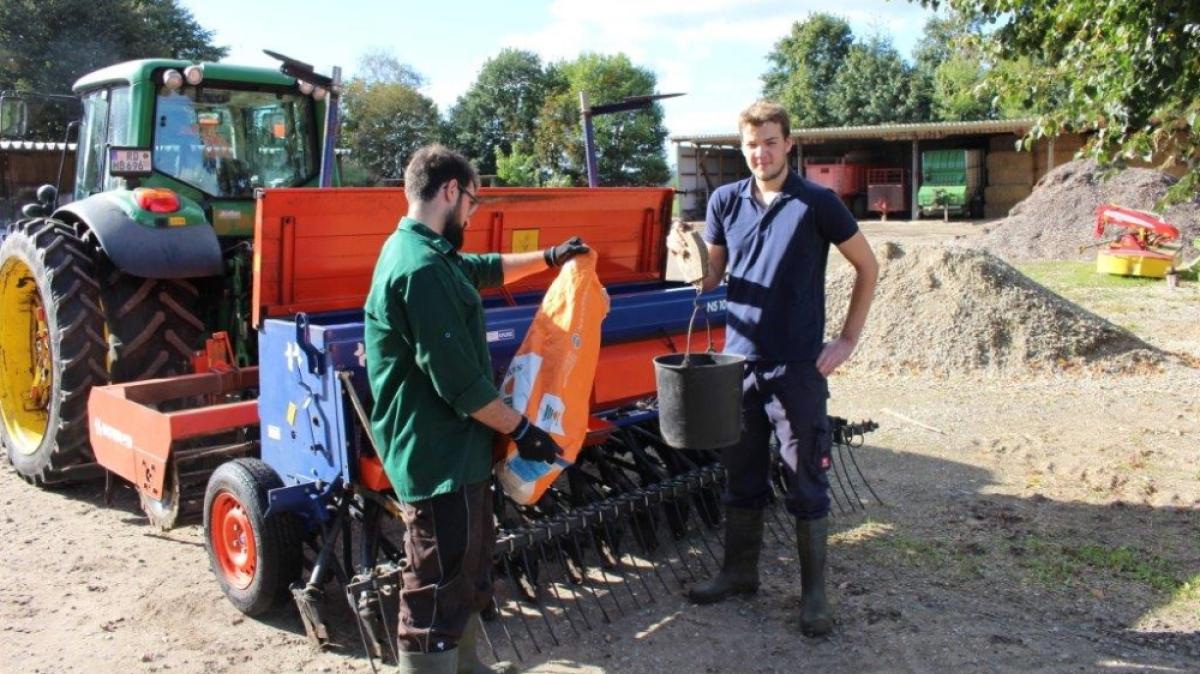 Körner-Saat auf „sauberem Tisch“