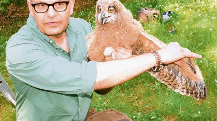 Was hat der kleine Uhu noch vor?