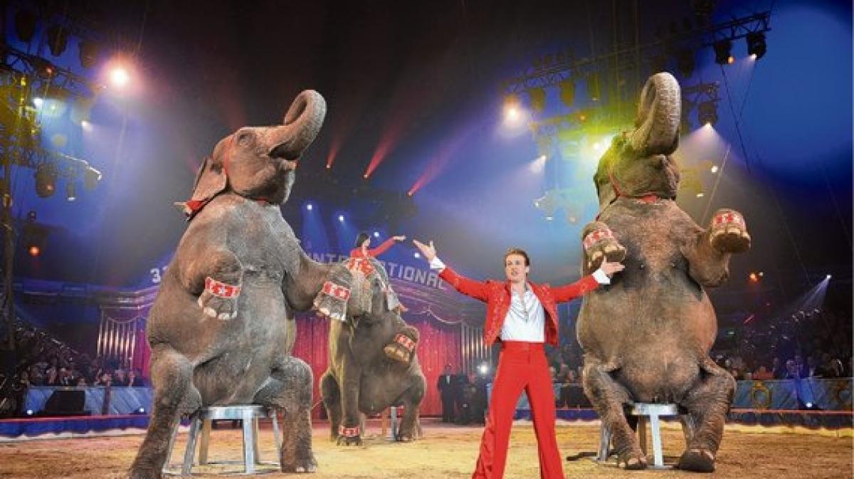 Tierischer Spaß und tollkühne Akrobatik im Zirkus Charles Knie