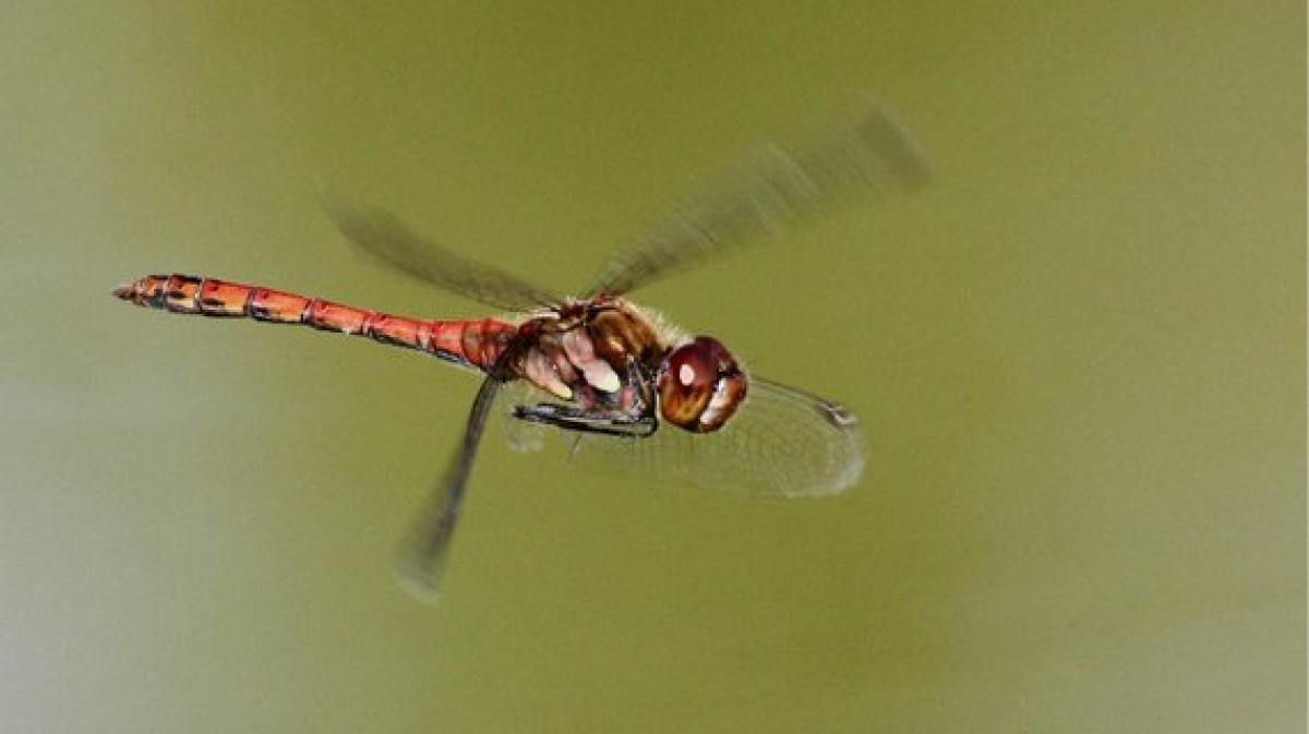 Überraschende Befunde