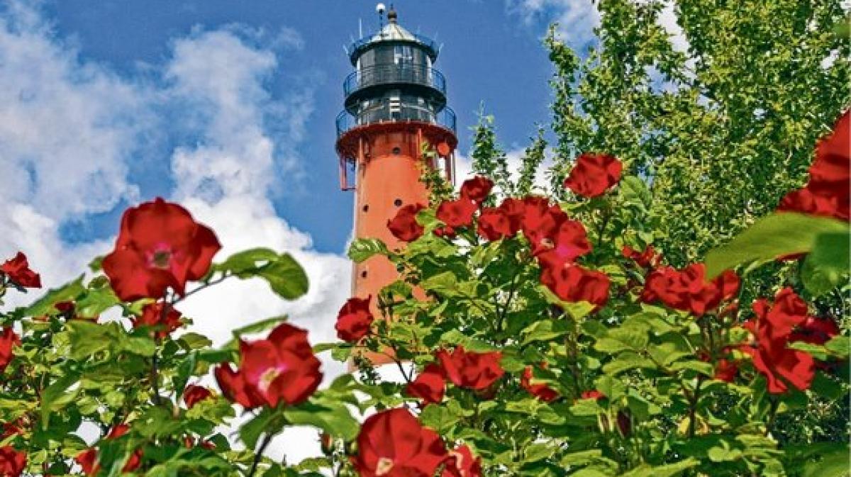 Die grüne Insel Pellworm blüht auf | SHZ