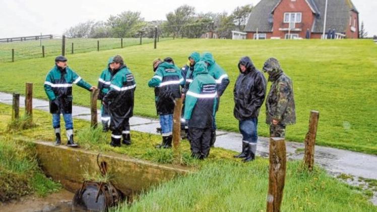 Warft ist in gutem Zustand