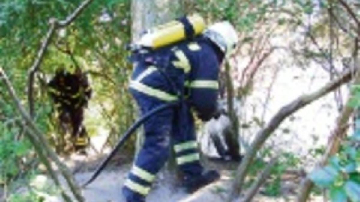 Zwei Jungs entfachten Flächenbrand