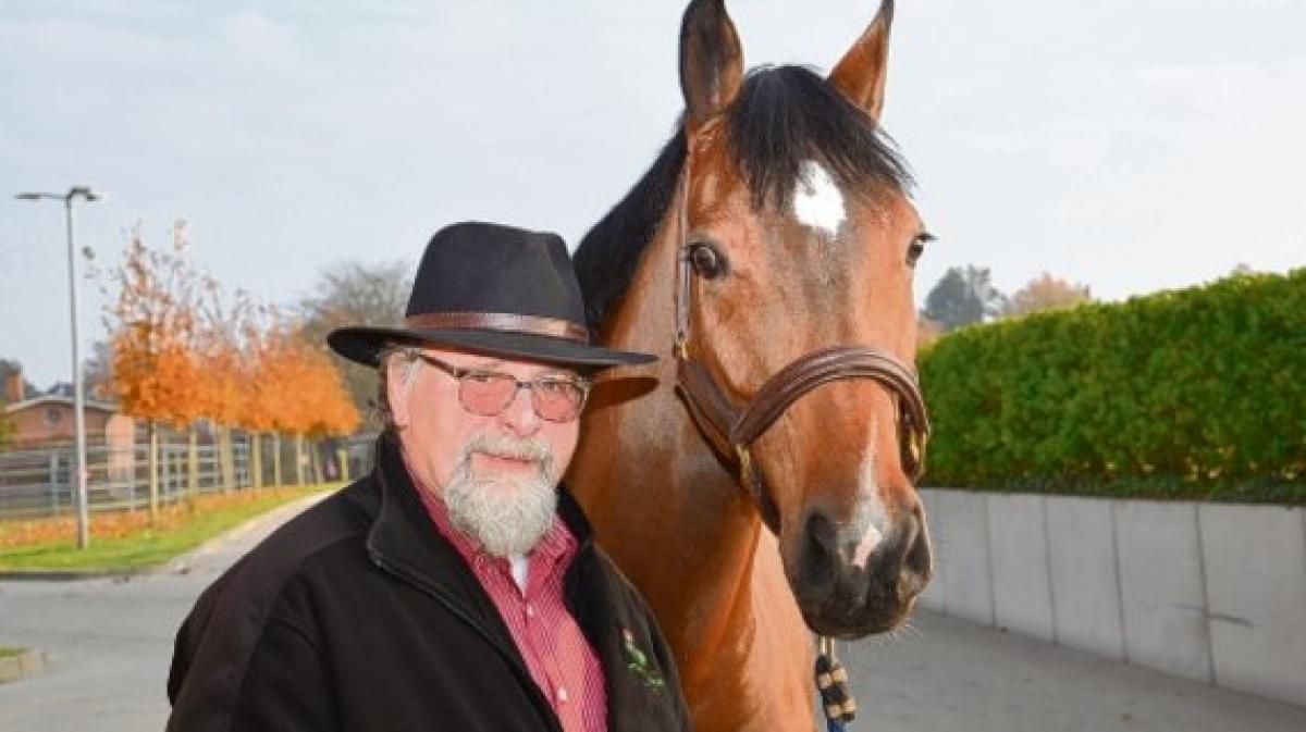 Von Pferdestärken zu Pferden