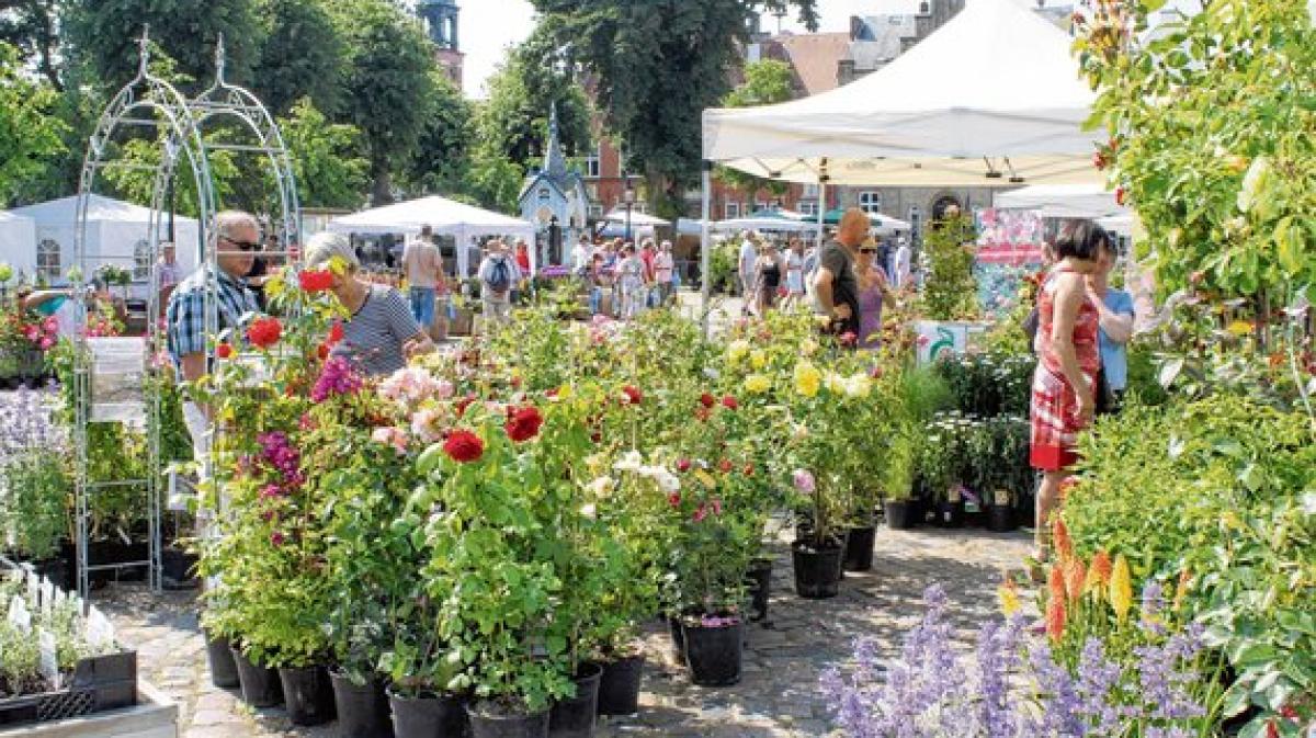 Königin Der Blumen Zu Gast