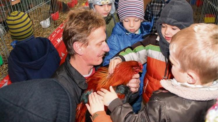 Top-Models im Prachtgefieder