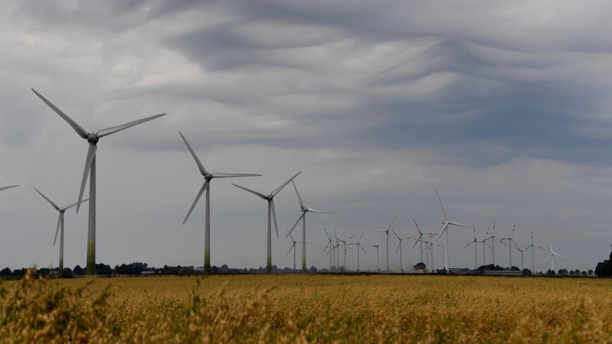 OVG verhandelt über Streit um Bau von Windkraftanlagen | SHZ OVG verhandelt über Streit um Bau von Windkraftanlagen | SHZ