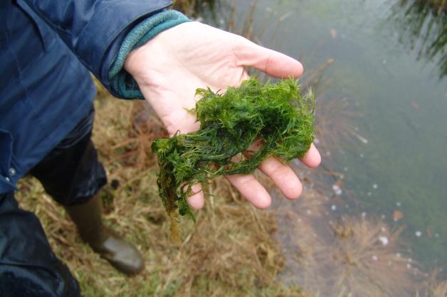 Faszination Moor | SHZ