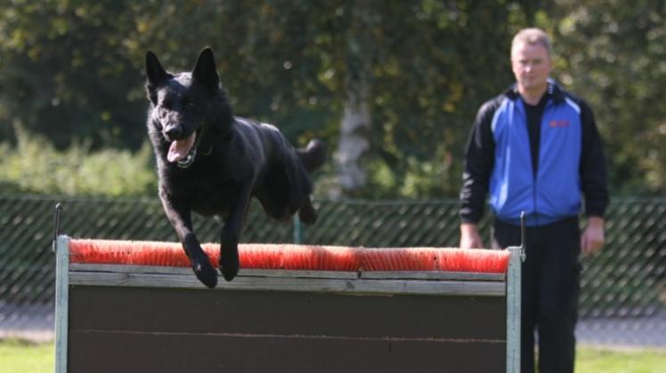 Training vor der großen Hundesport-Prüfung in