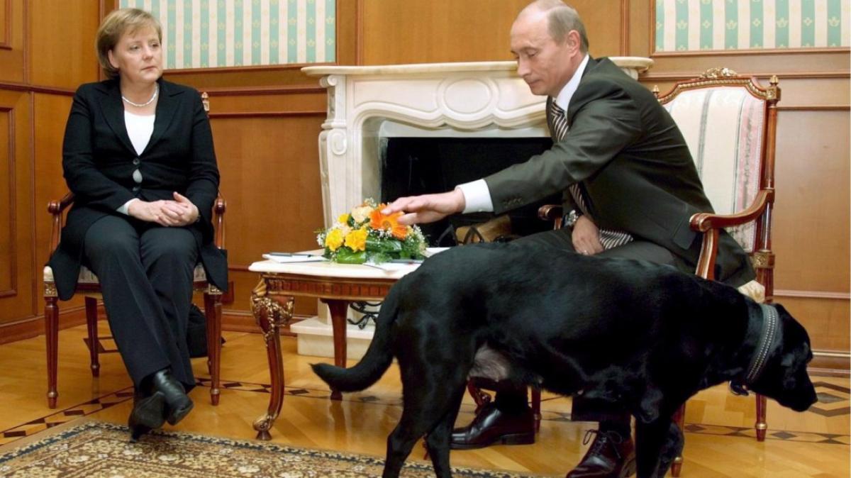 Kanzlerin Angela Merkel bei Putin in Russland: Auf den Hund gekom