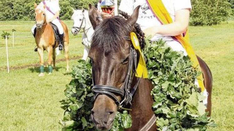 Hochbetrieb beim Wettstreit und Probereiten