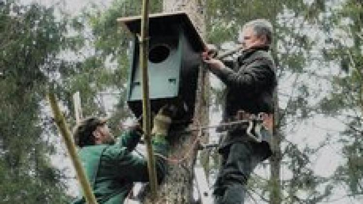 15 Vogelkästen gespendet