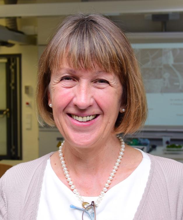 Forschung beginnt im Unterricht