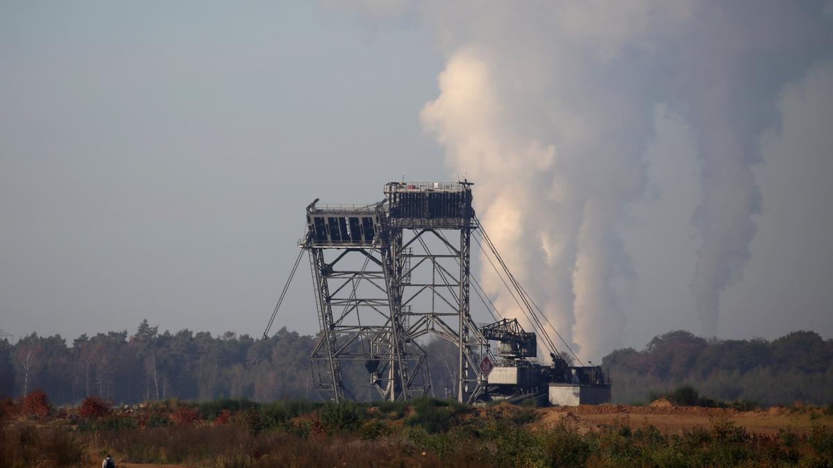 Hambacher Forst aktuell: RWE will Kohleförderung offenbar deutlic | SHZ