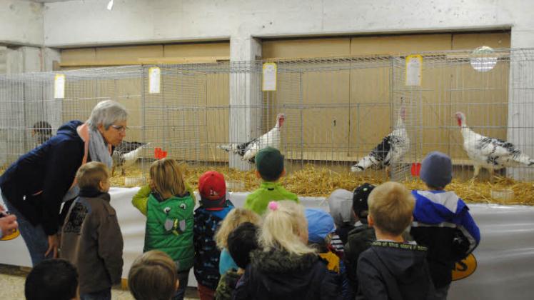 Vogelschau mit 800 Tieren in Eutin