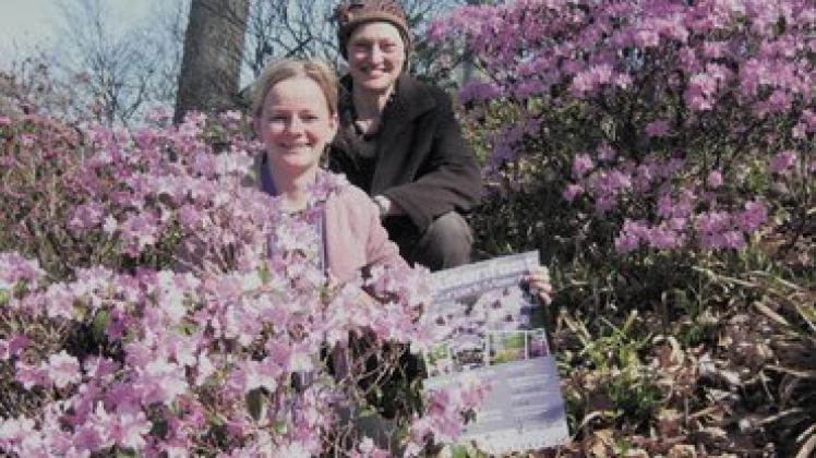 Blütenfest im Zeichen der Rhododendron-Pracht
