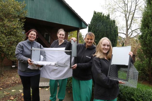 Kampf gegen das Katzenelend