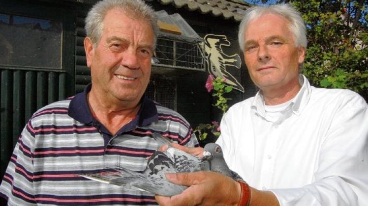 Die Leistungssportler der Lüfte