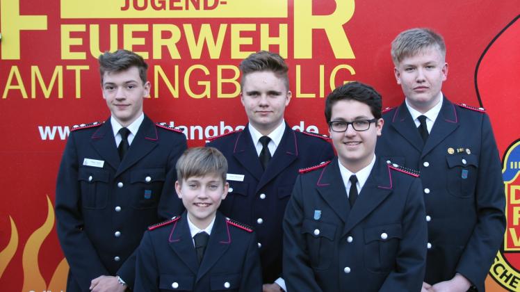 „Sagt Ja zu einem Posten im Vorstand!“ | SHZ