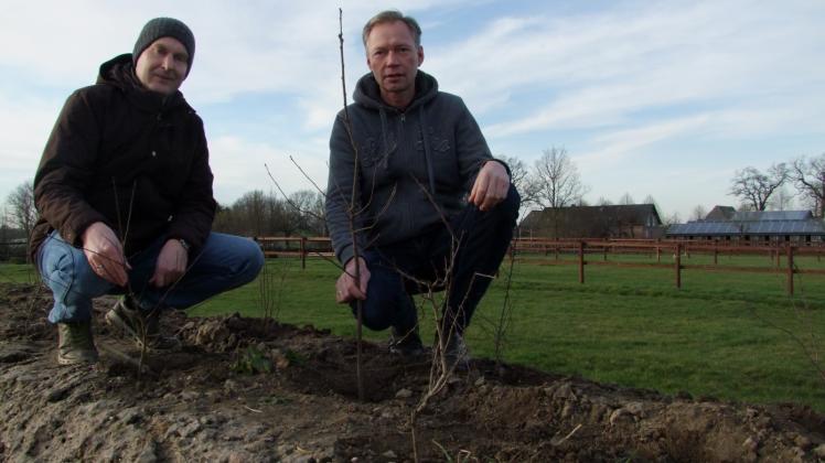 Neue Knicks auf dem Reiterhof