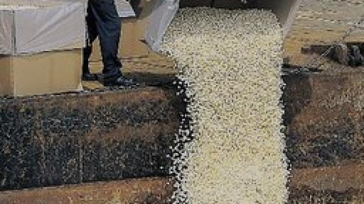 Popcorn-Pest in der Nordsee? Alles nur eine Anti-Öl-Übung