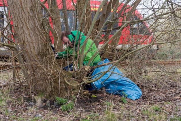 Frühjahrsputz am Straßenrand