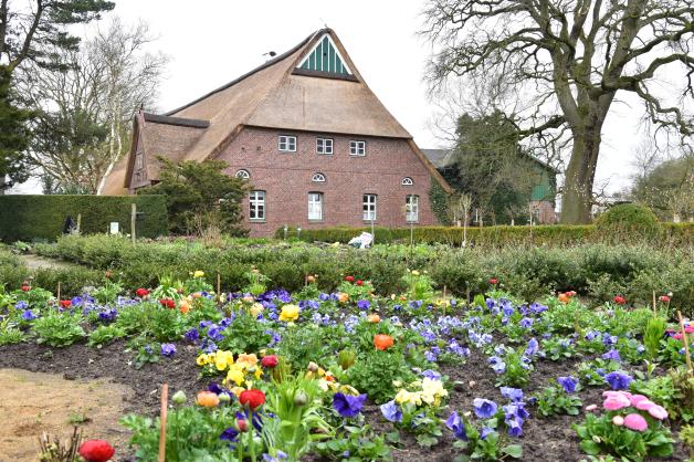 Auf einen Spaziergang durchs frühlingshafte Arboretum | SHZ