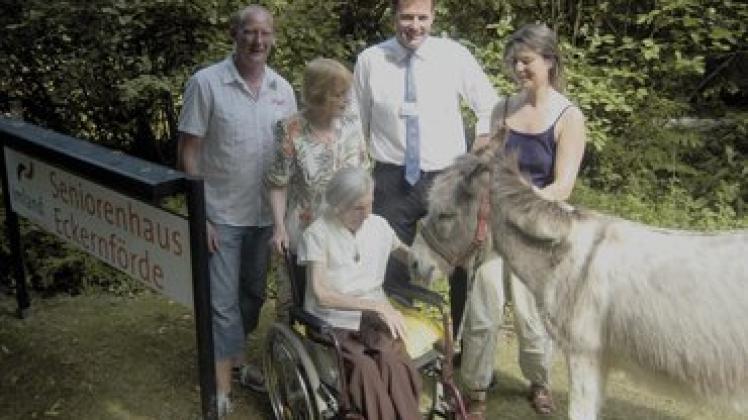 Kuchen, Kunst und Kuscheltiere