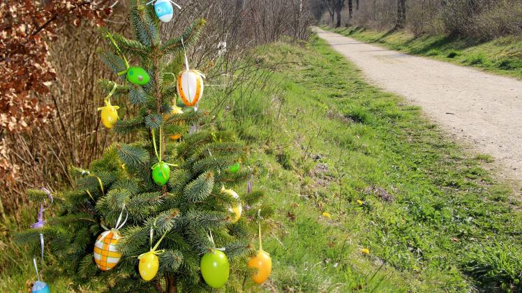 Der Eierbaum von Mildstedt