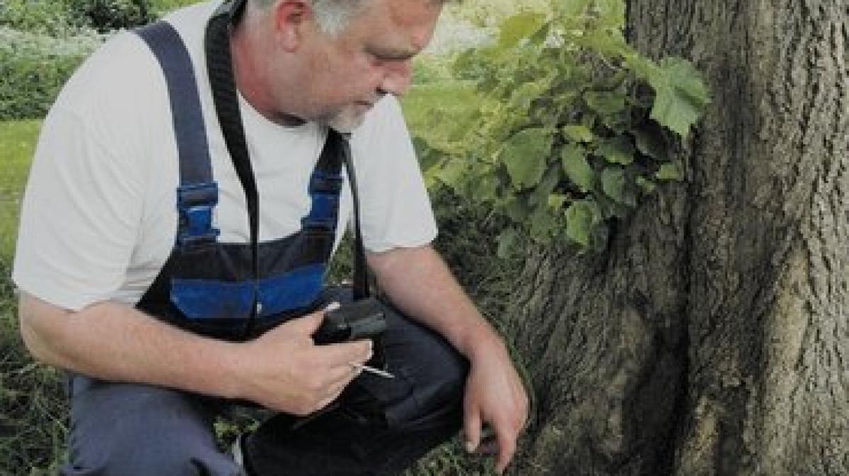Michael Matzen kennt fast jeden Baum