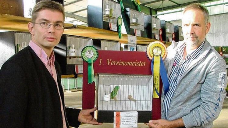 Wachtelküken und melodische Gesänge