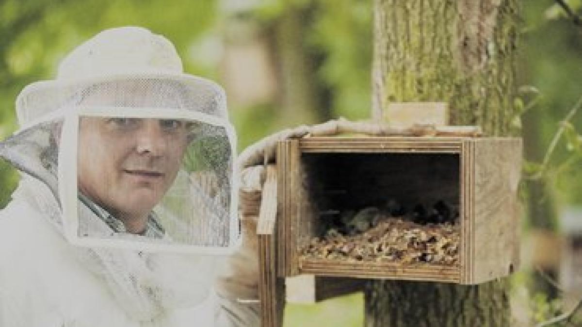 Der Wespenmann - Retter der Tiere