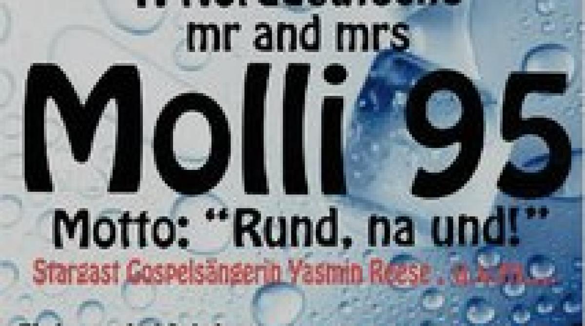 Molli 95 - Unbekannte stehlen Plakate | SHZ