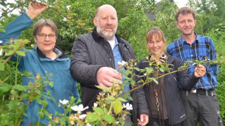 Trotz Wind und Regen: Viel los in Steinburgs Gärten | SHZ