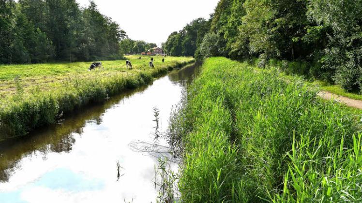 Lecker Au: Als Leck noch einen Hafen hatte