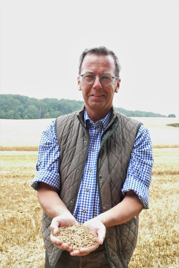Mit der Gerste wird die Erntezeit eingeläutet